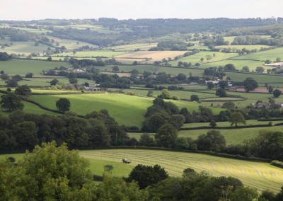 Gallery | Rower Fort